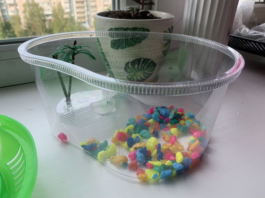 Аквариум для черепахи пластик