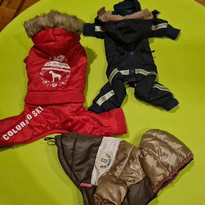 Одежда для маленьких собак