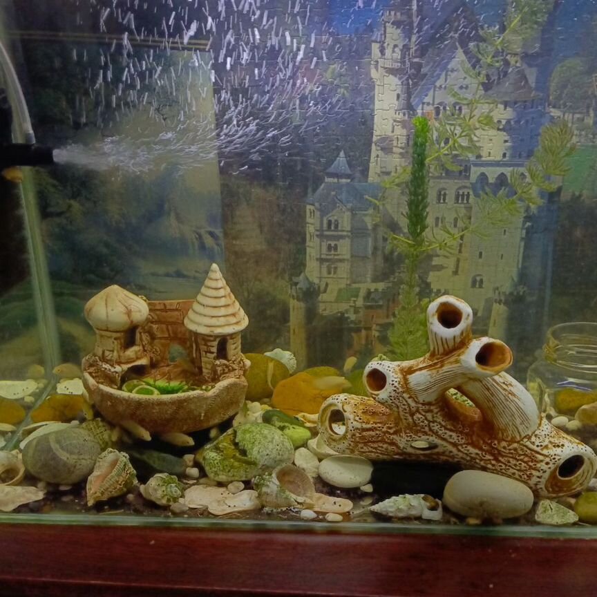 Аквариум бу с рыбками