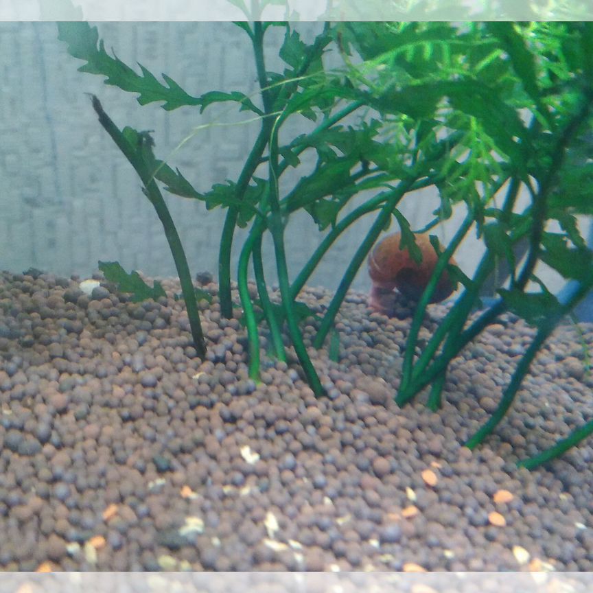 Улитки катушки 5 шт