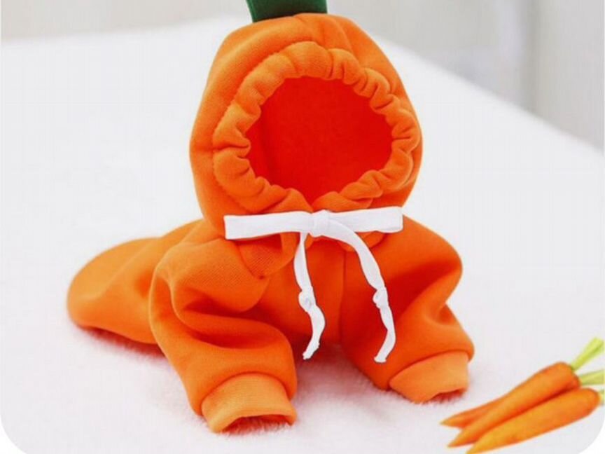 Одежда для животных