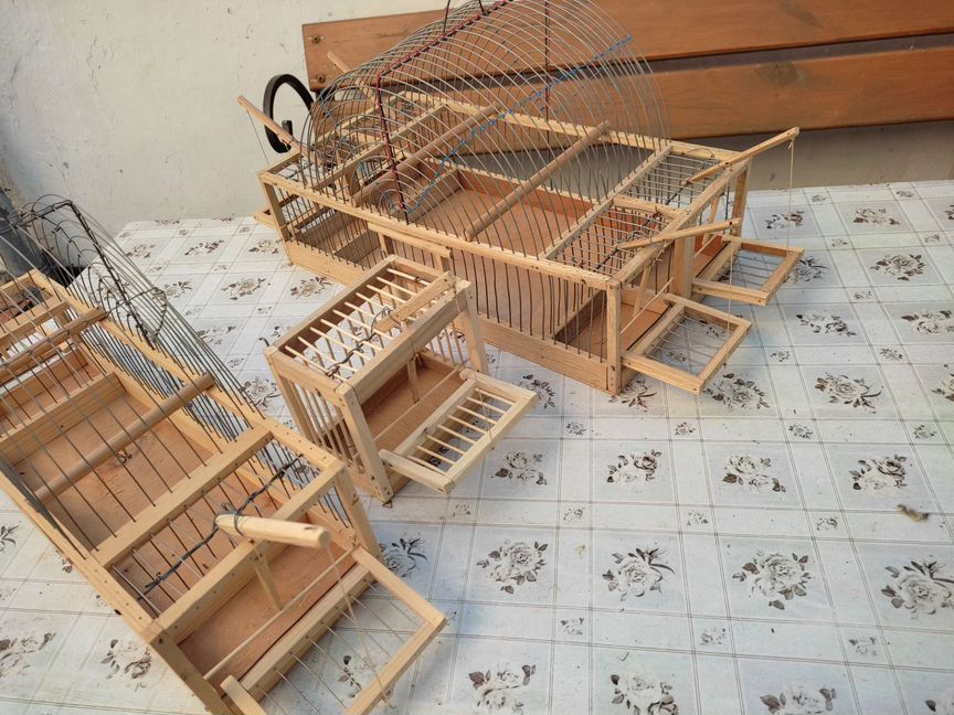 Ловушка для птиц