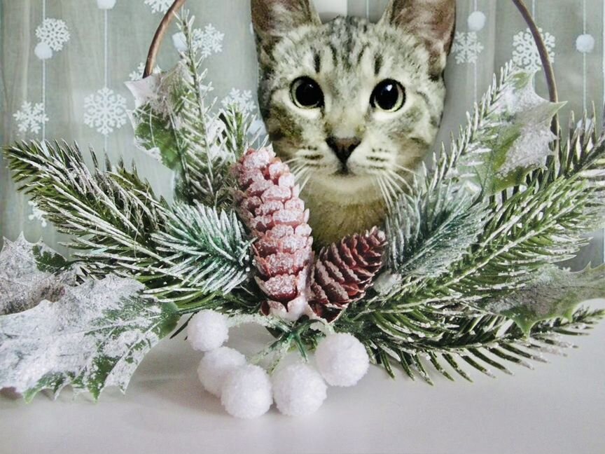 Сделайте чудо