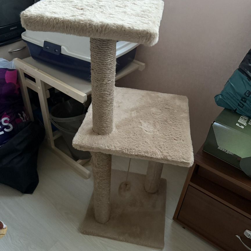 Когтеточка