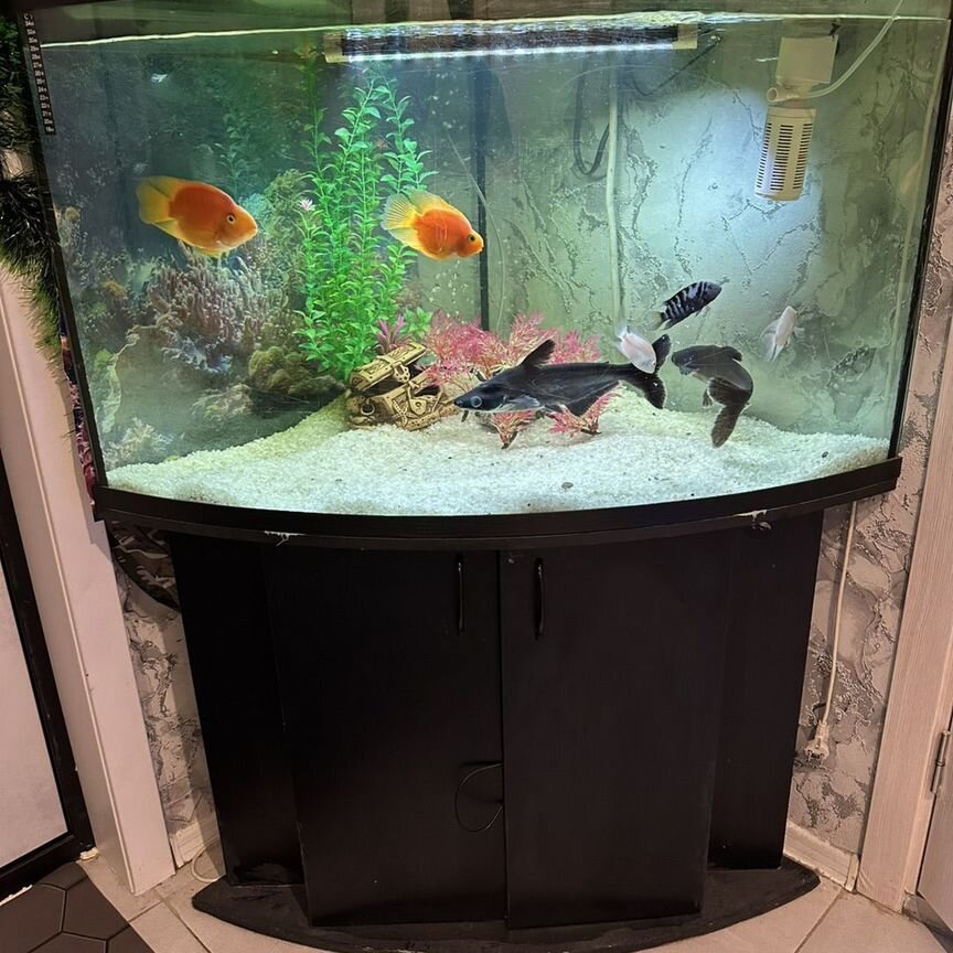 Аквариум с тумбой 350 литров