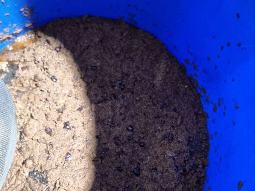 Отходы квасного производства