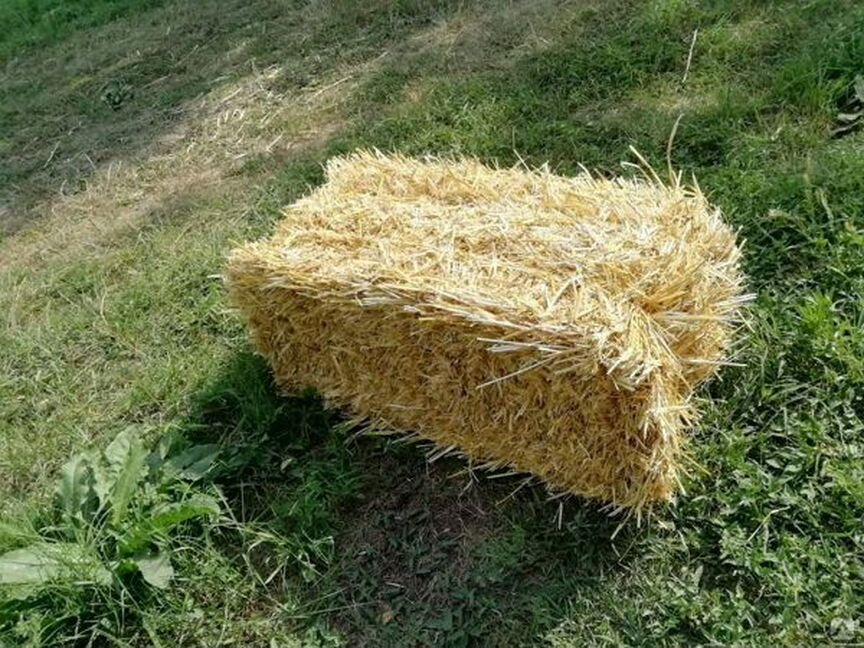 Солома в мини тюках, зерно, комбикорма