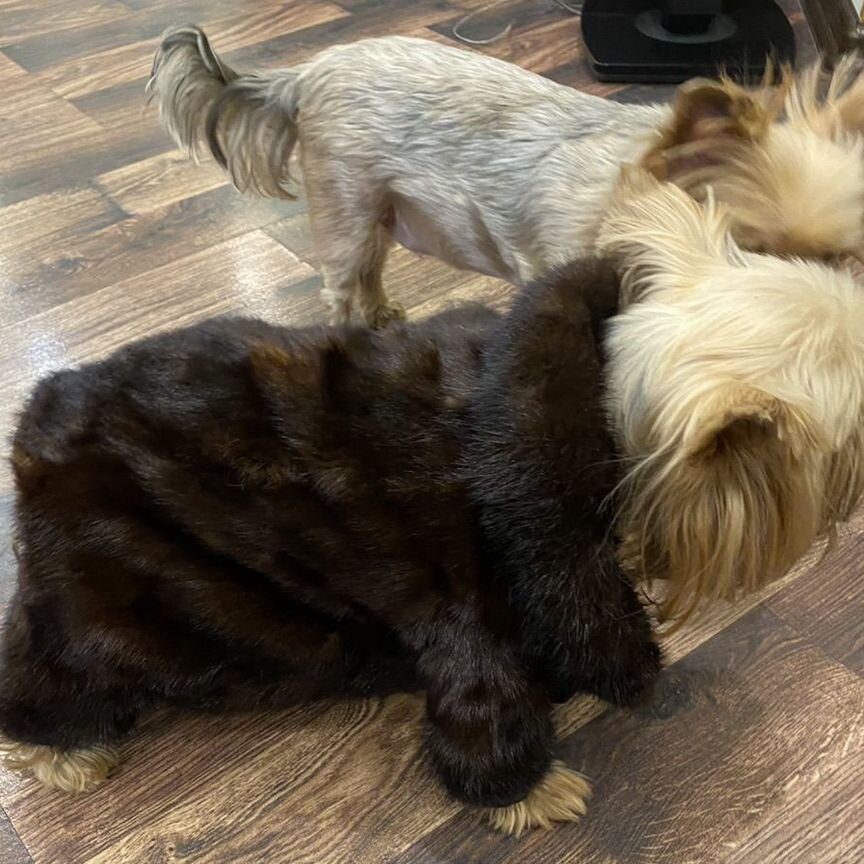 Шуба норковая для собак