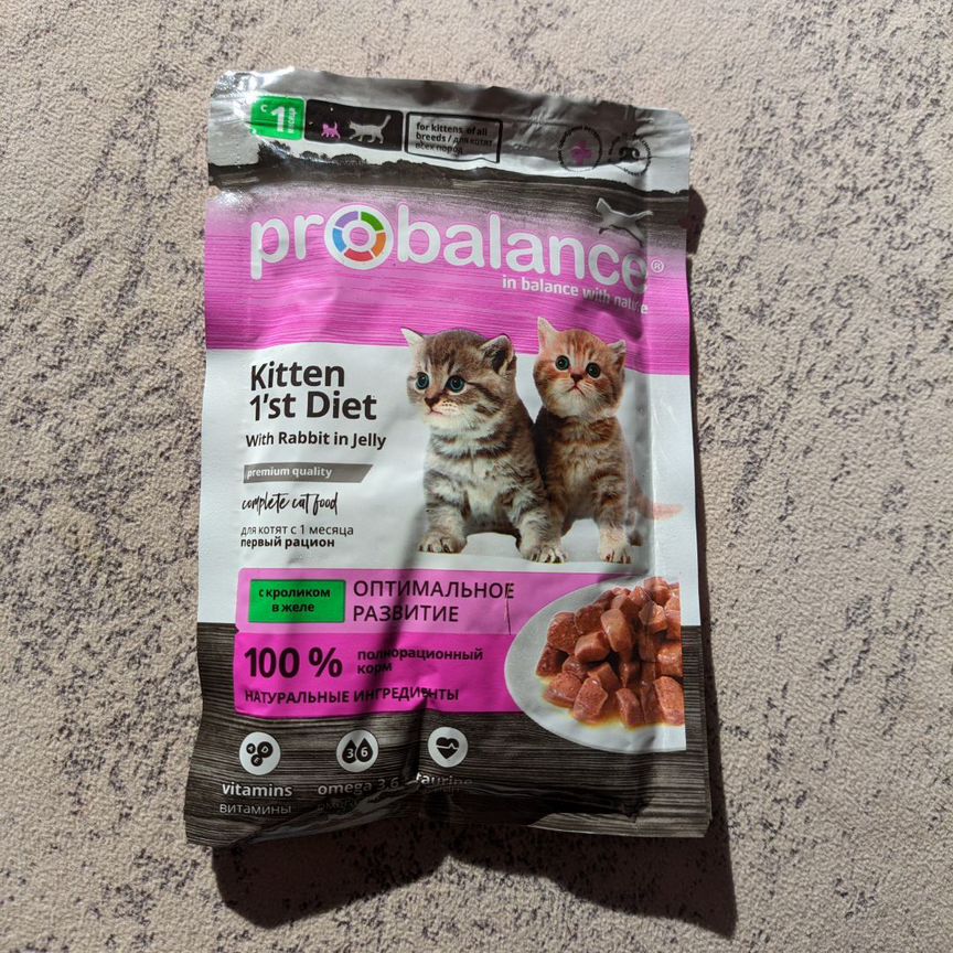 Влажный корм для котят Probalance