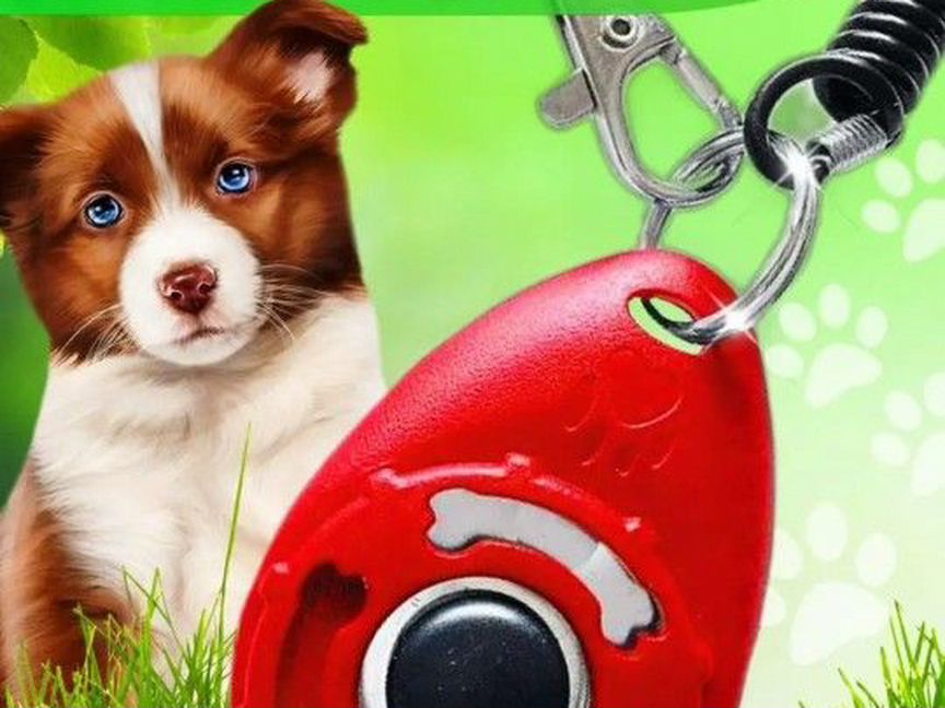Кликер для дрессировки собак