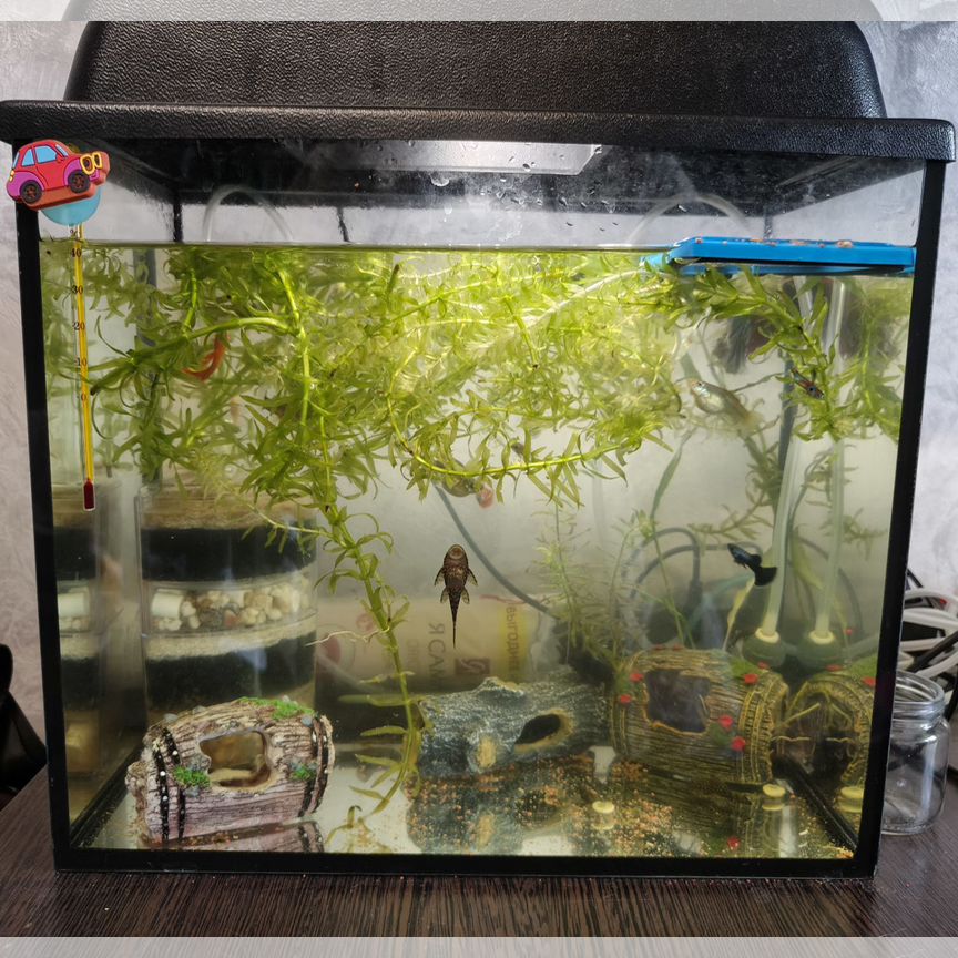Аквариум на 20 литров