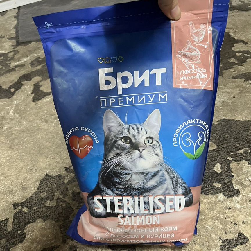 Корм для кошек