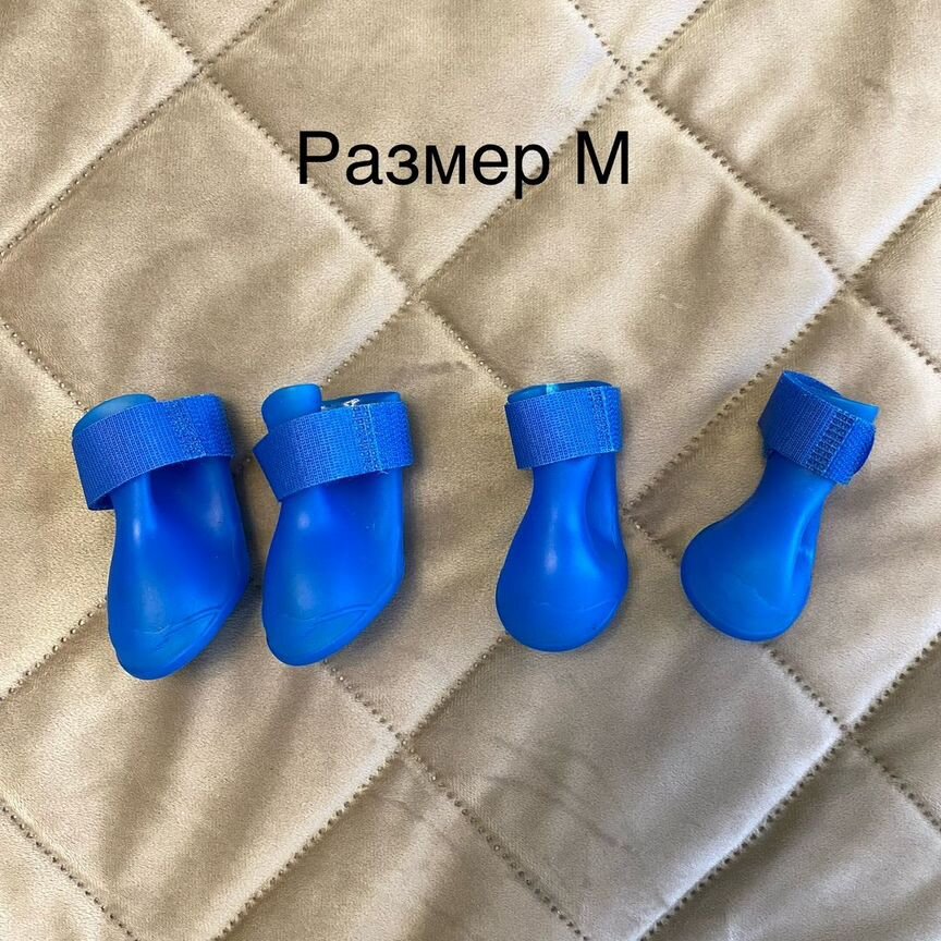 Обувь для собак мелких пород