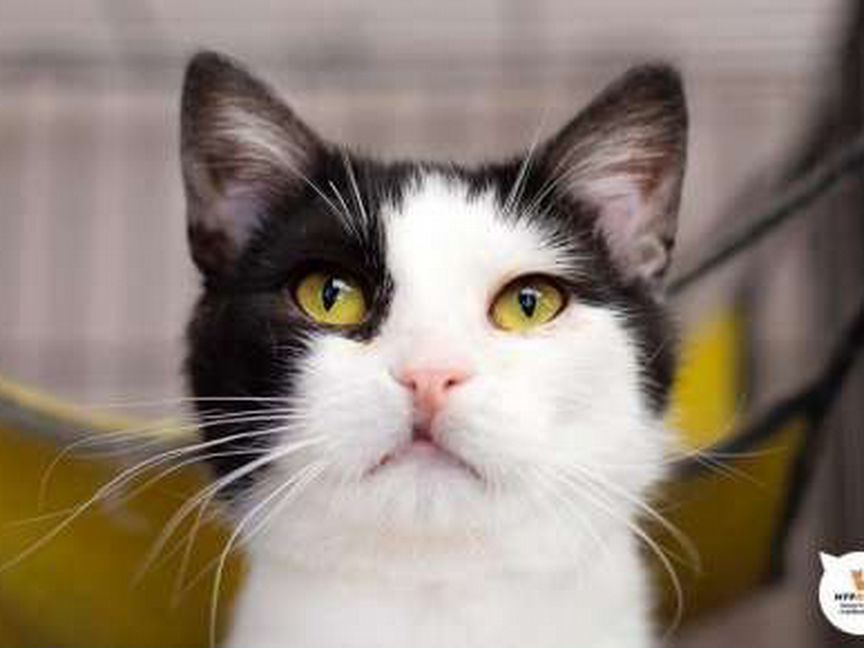 Ищу себе новый домик