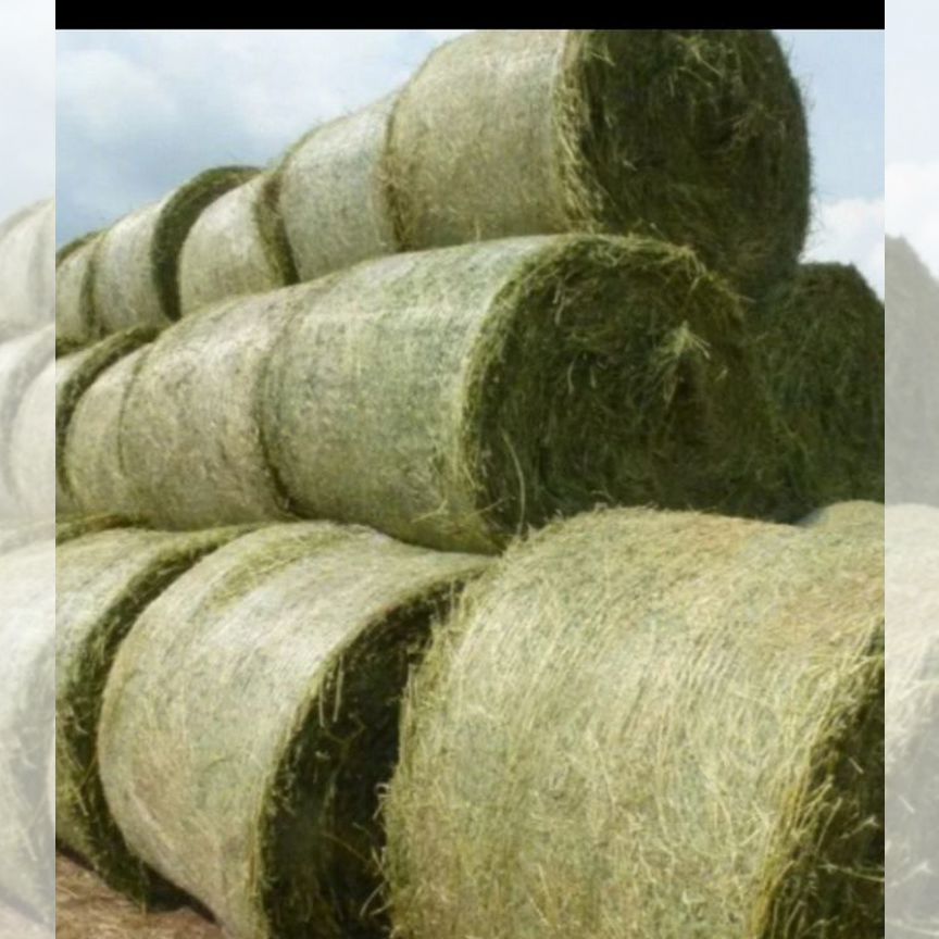 Сено лён в рулонах