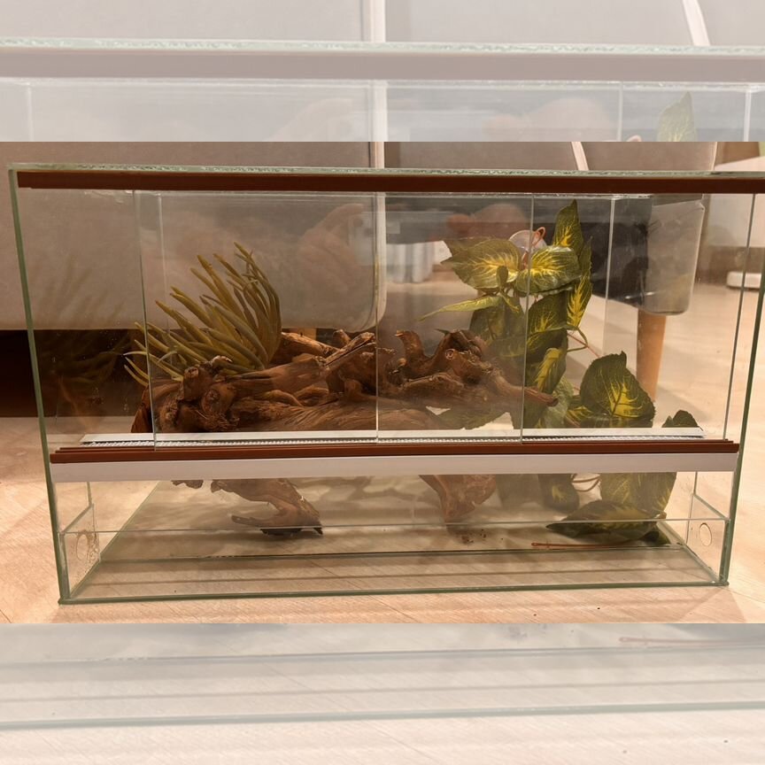 Террариум 45х30х30 с декором