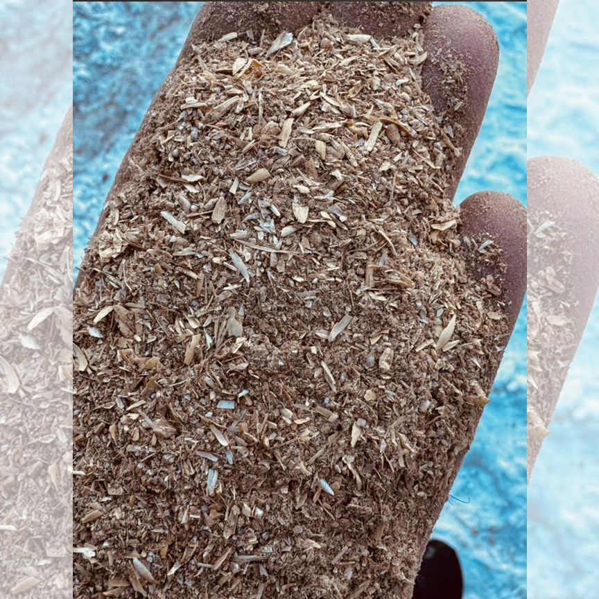 Пшеница отходы