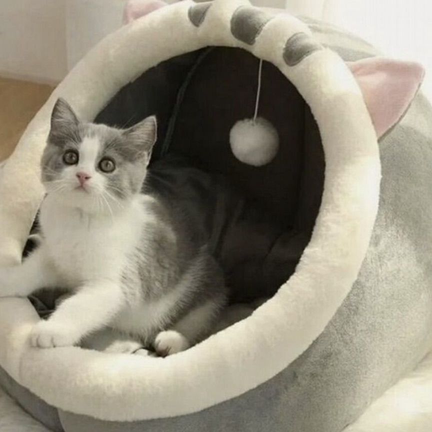 Домик для кошки