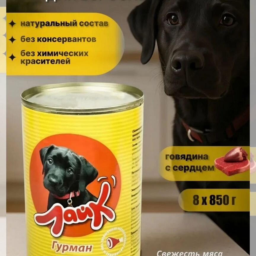 Корм для собак