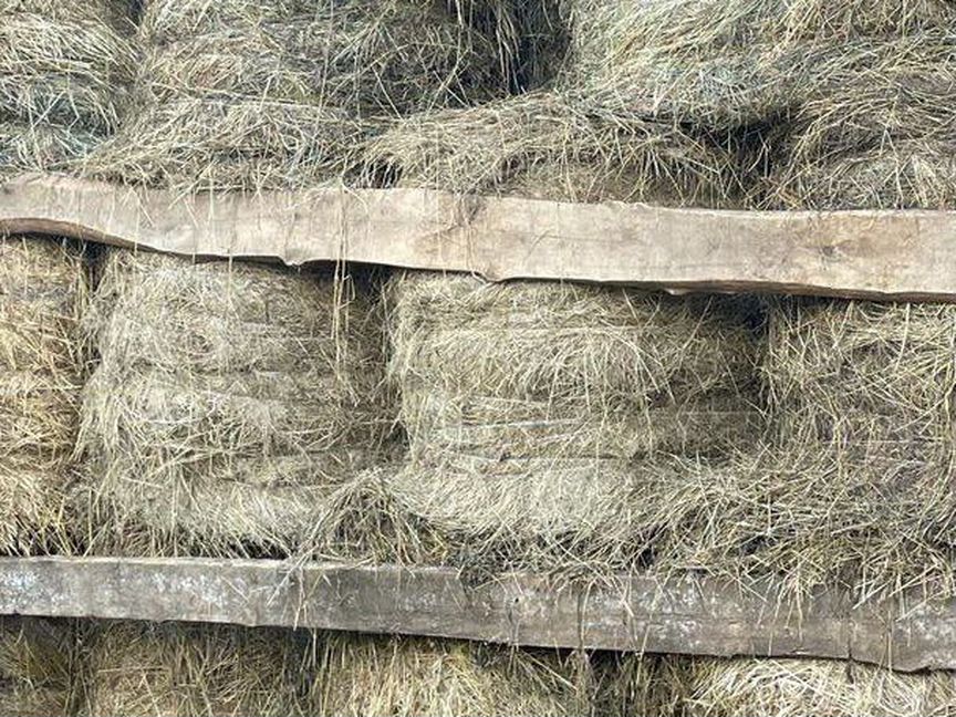 Сено,зерно,свекла 10