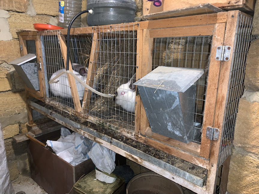 Клетка для кролика, маточник