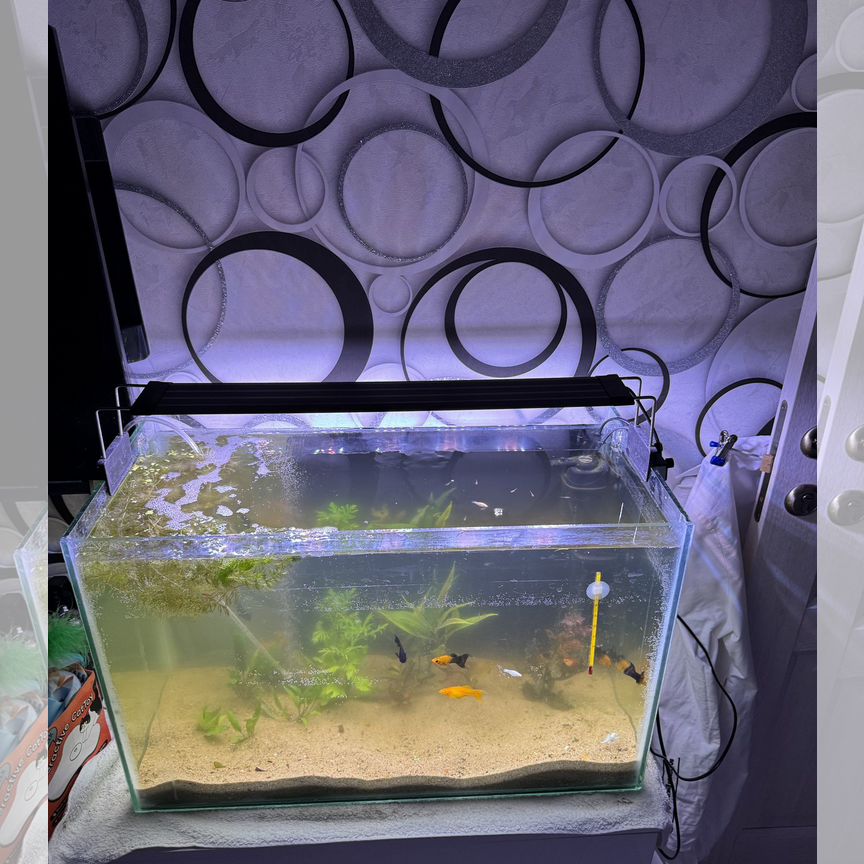 Аквариум 65 литров