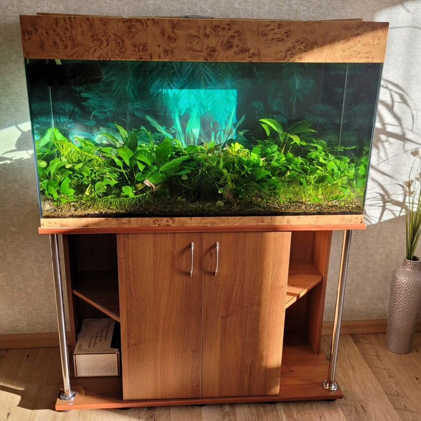 Аквариум с тумбой 200 литров