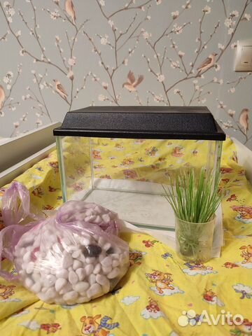 Аквариум с крышкой 5 литров