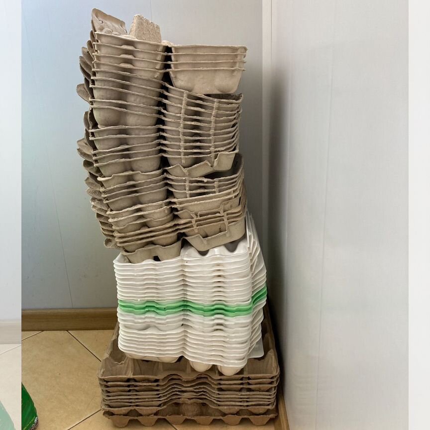 Лотки для яиц