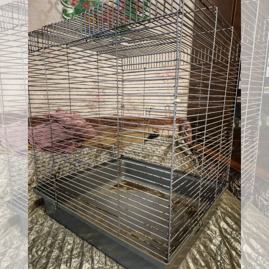 Клетка 50*55*65