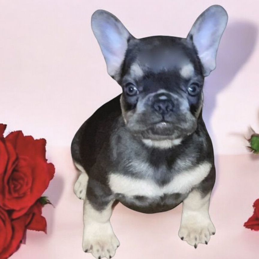 Голубая мини девочка