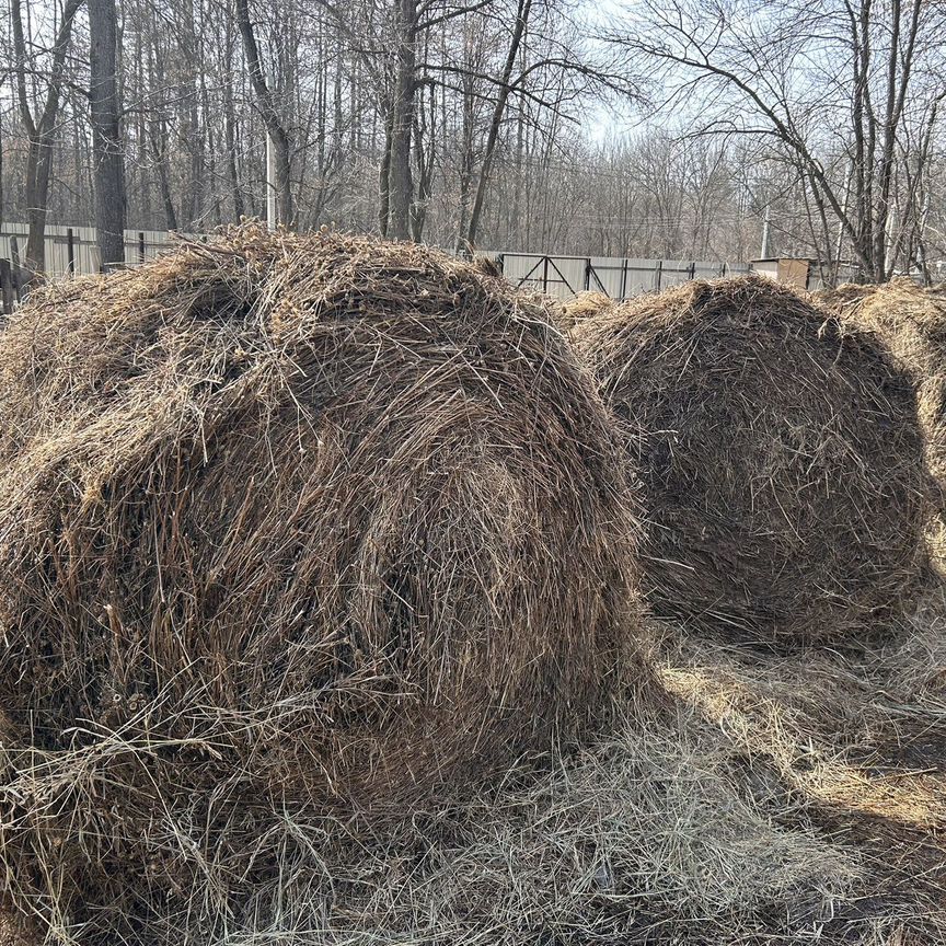 Сено в рулонах 145 пресс
