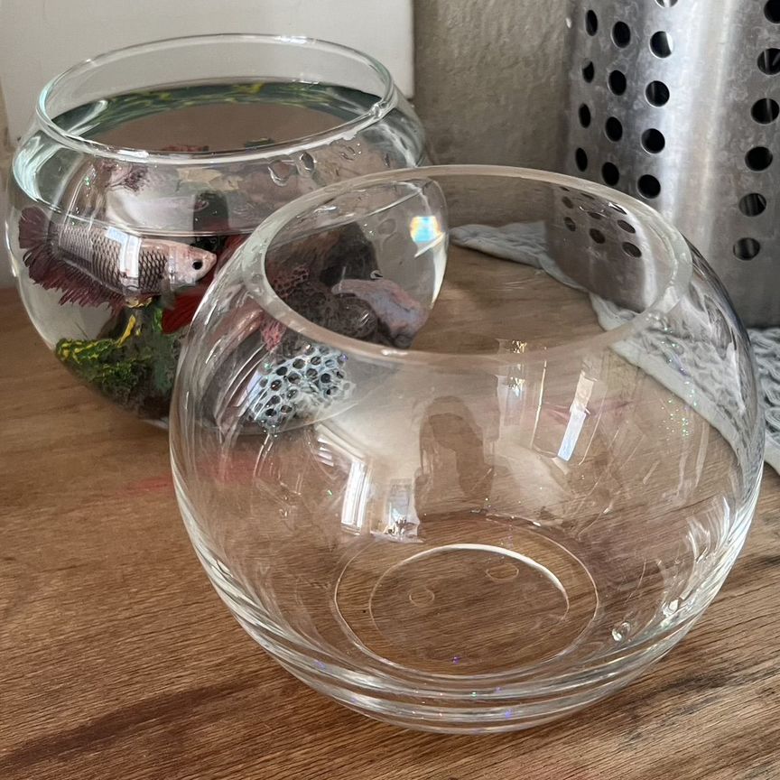 Аквариум круглый маленький