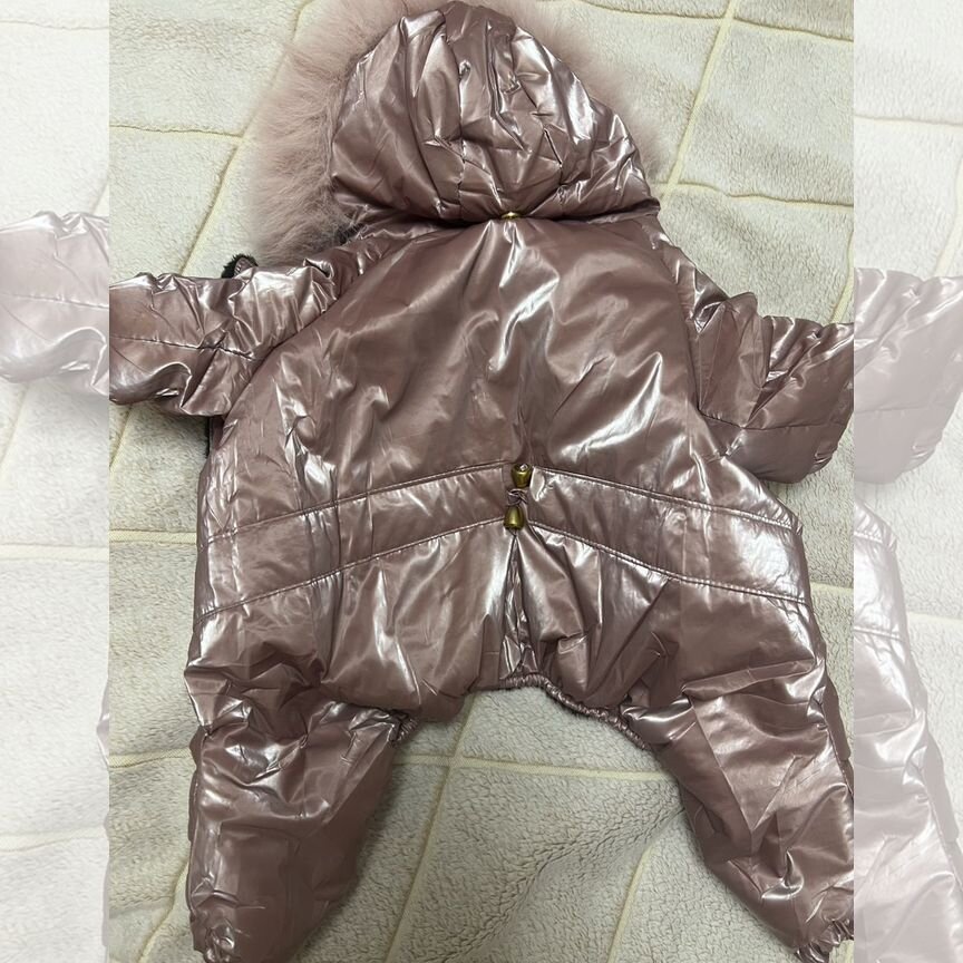 Одежда для собак мелких пород зима