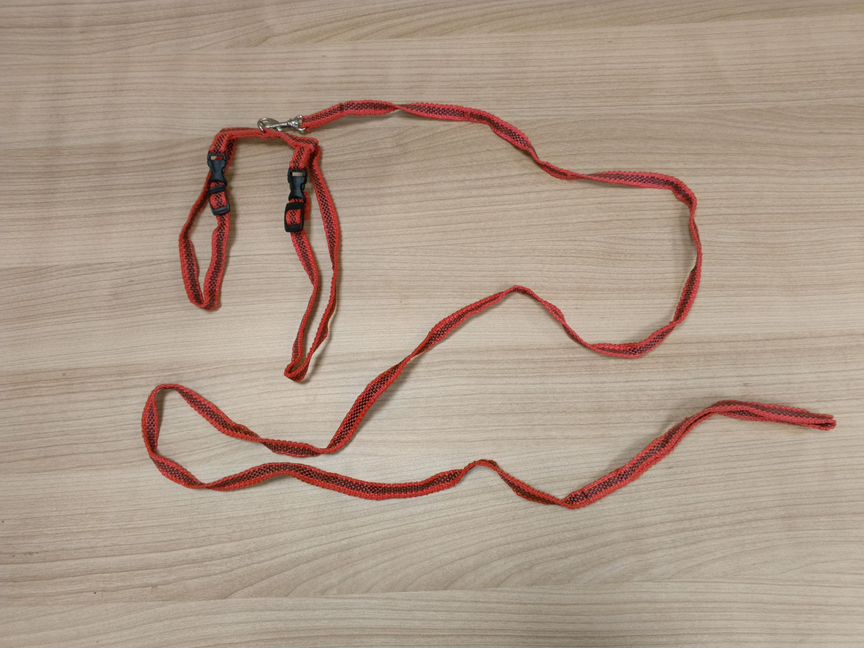 Шлейка для кошки