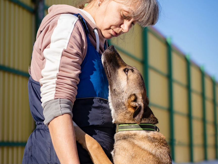 Небольшая собачка в добрые руки