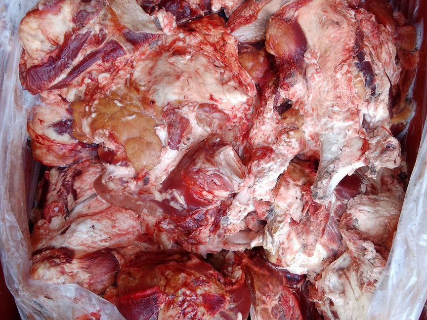 Корм для собак мясо