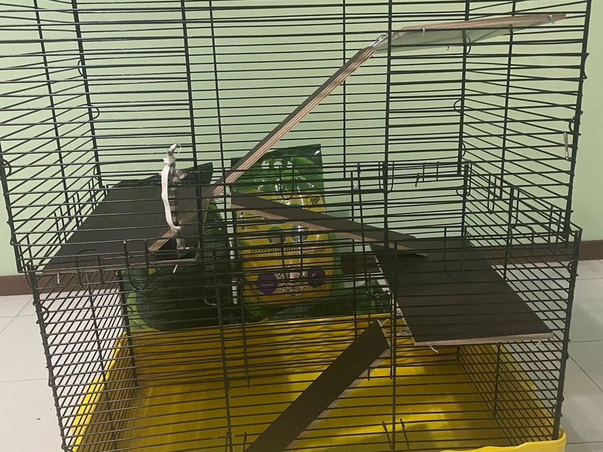 Клетка для грызунов