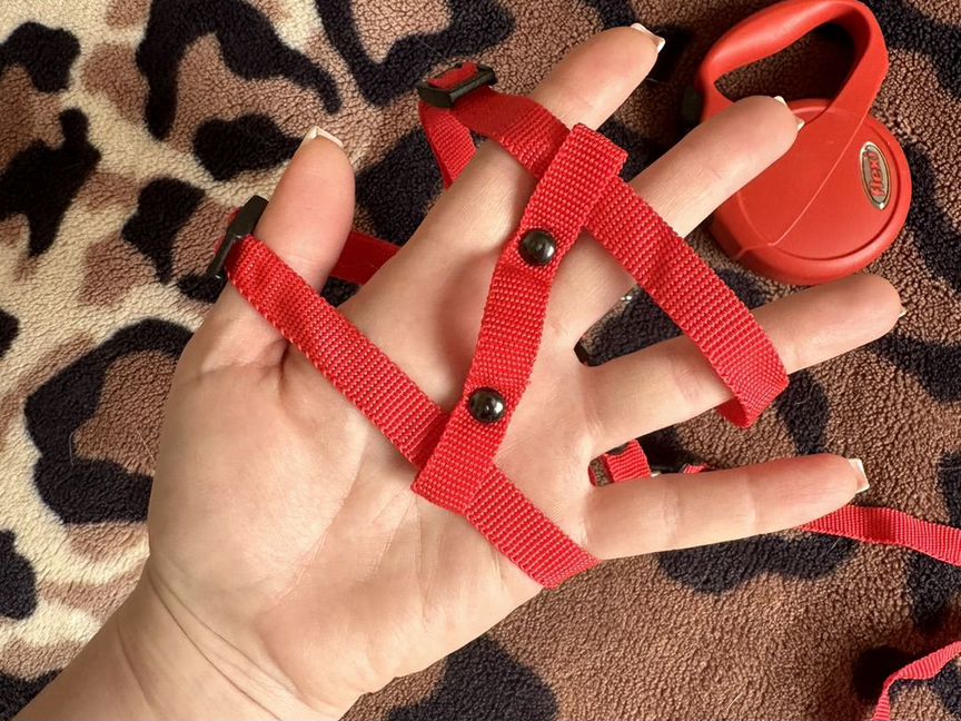 Шлейка для маленькой собакиили кошки