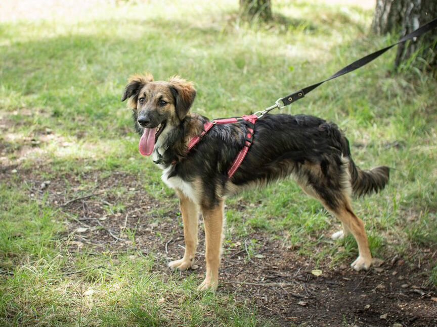 Джонни замерзает в приюте