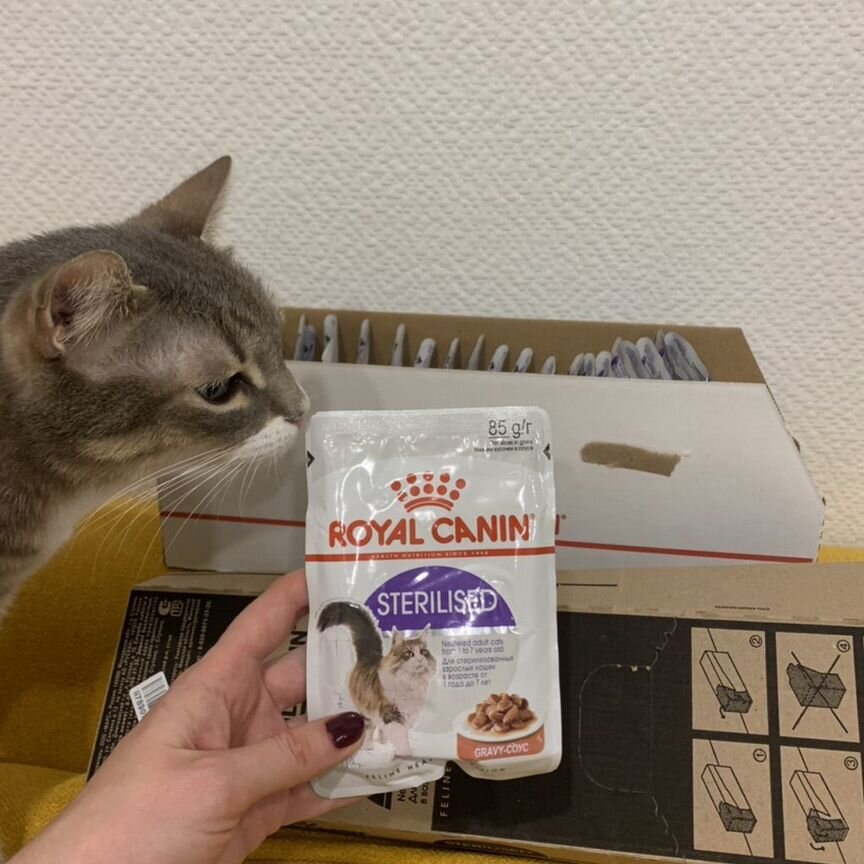 Корм для кошек влажный Royal Canin