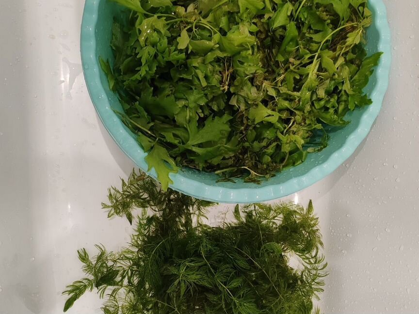 Аквариумная прополка