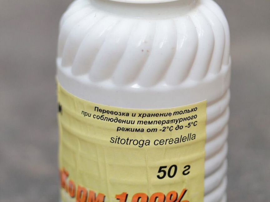 Яйца ситотроги