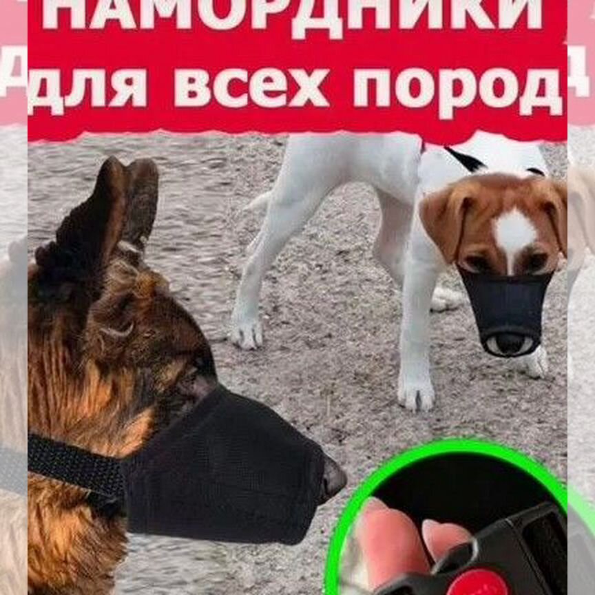 Намордник для собак
