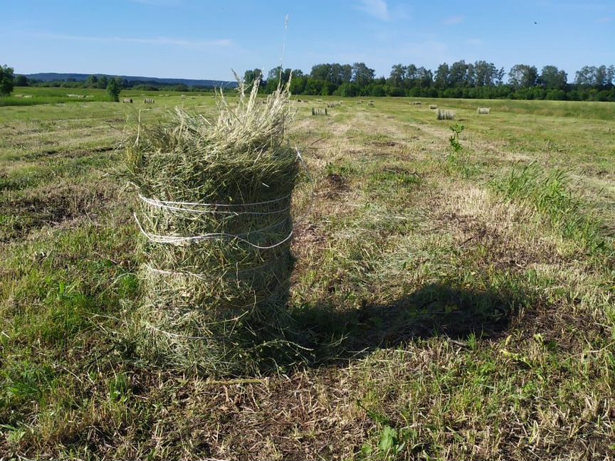 Сено в мини рулонах