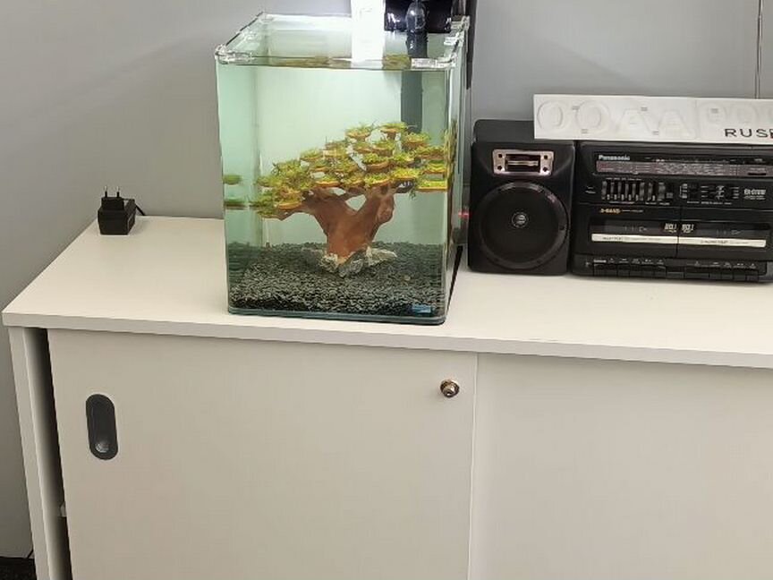 Аквариум под ключ