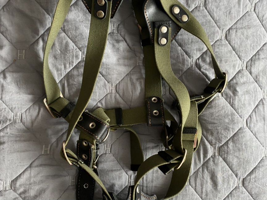 Шлейка для собаки 35 (новая)