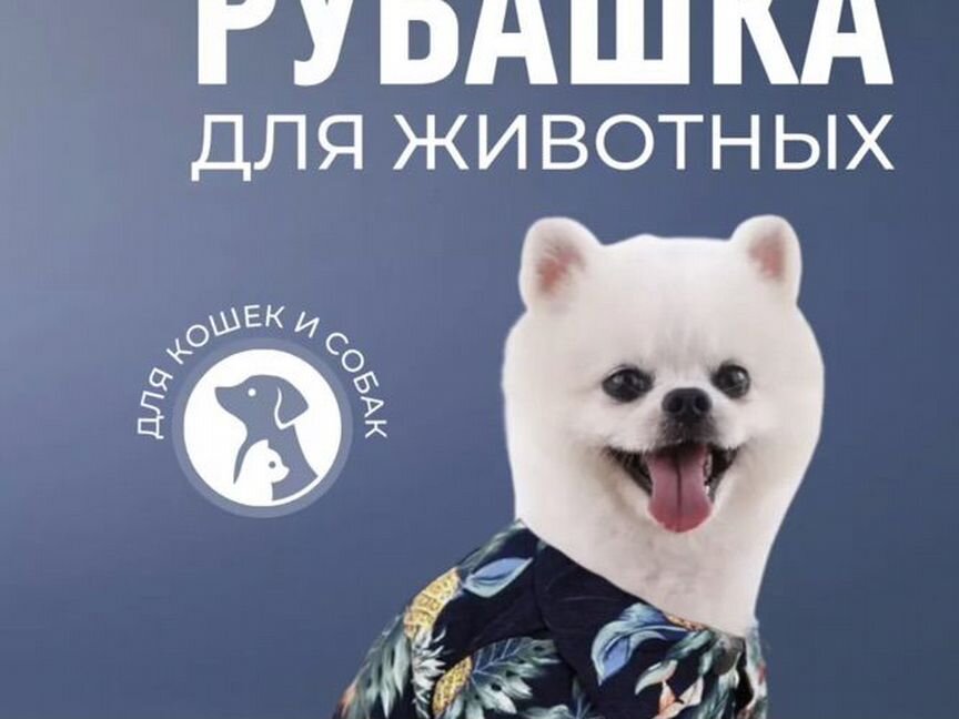 Рубашка собаке/кошке