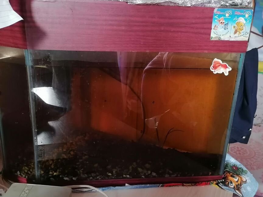 Аквариум 45 литров