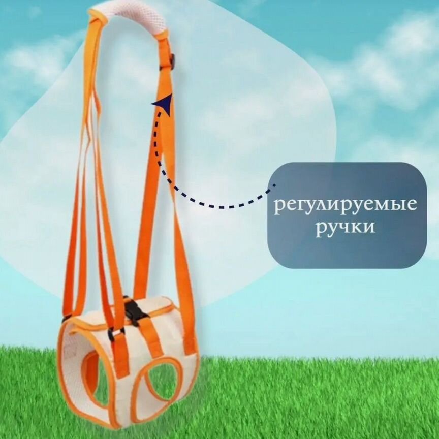 Ходунки для собак